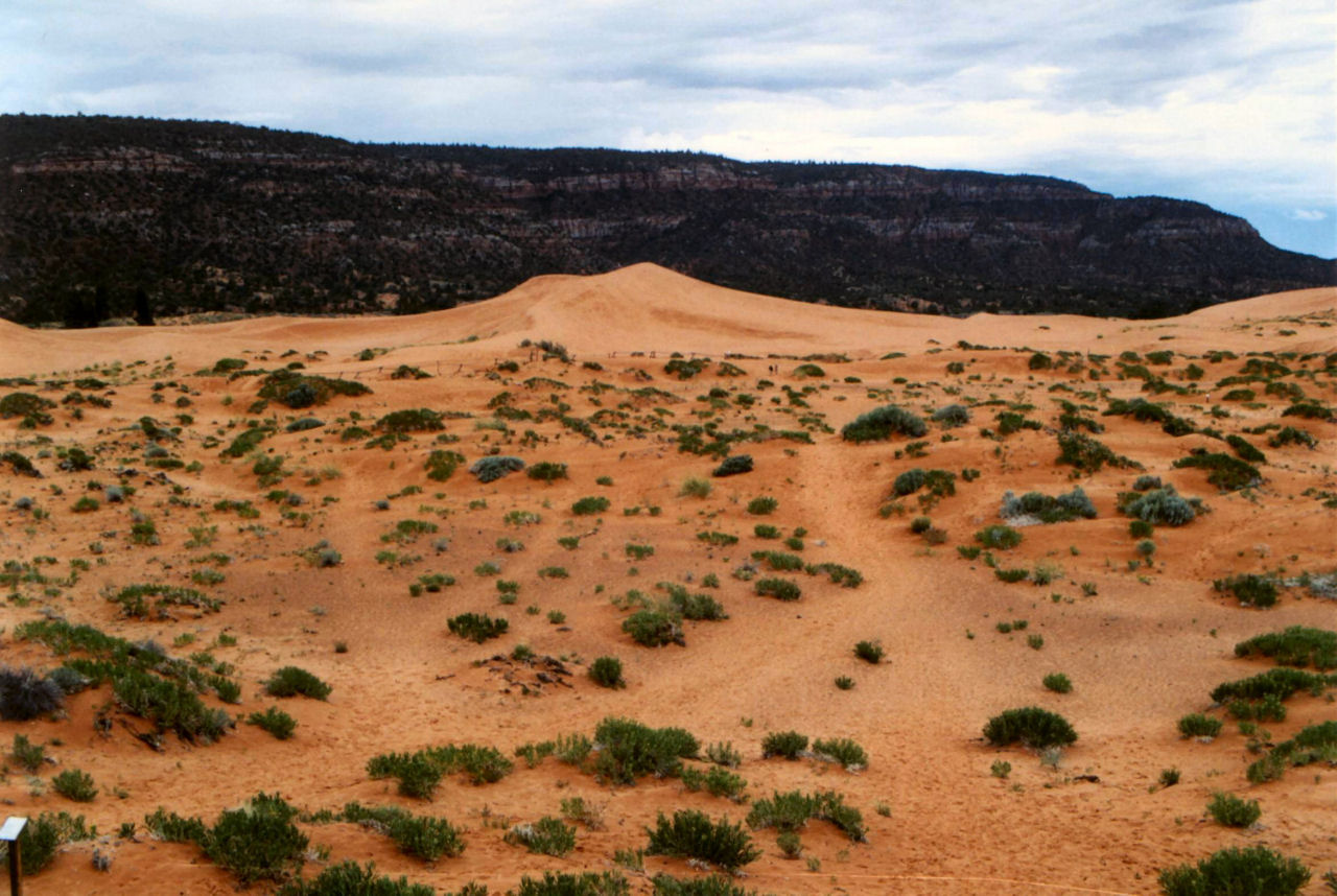 Arizona / Utah / New Mexico